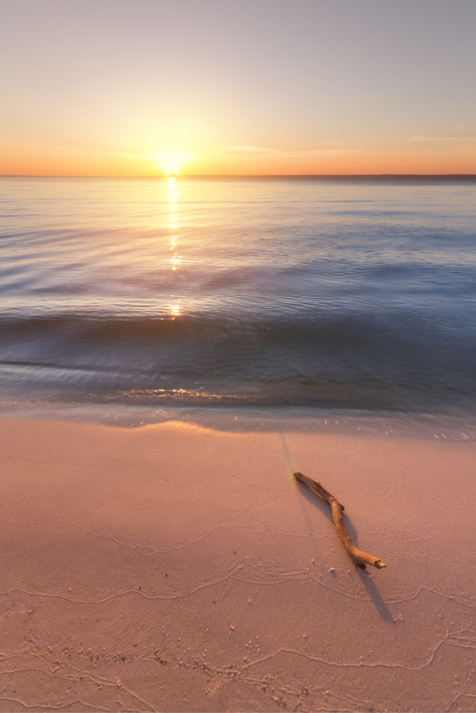 Dr. Matt le Roux | Certified Functional Medicine Practitioner