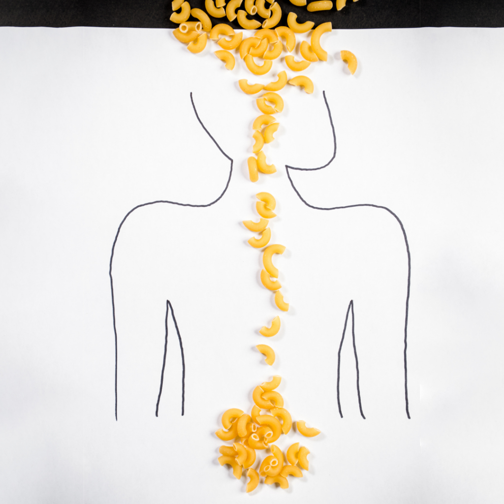 Dr. Matt le Roux | Certified Functional Medicine Practitioner