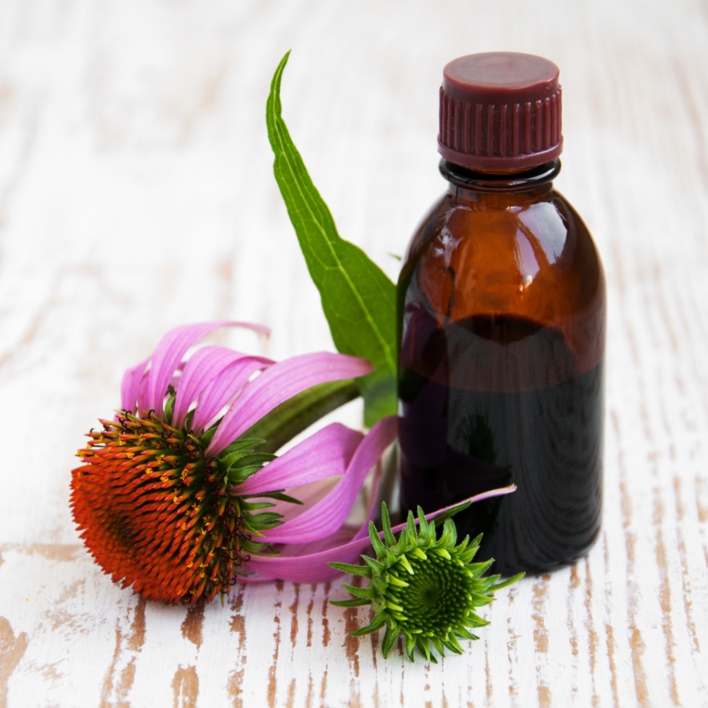 Dr. Matt le Roux | Certified Functional Medicine Practitioner