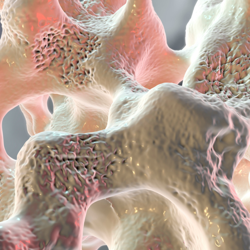 Dr. Matt le Roux | Certified Functional Medicine Practitioner