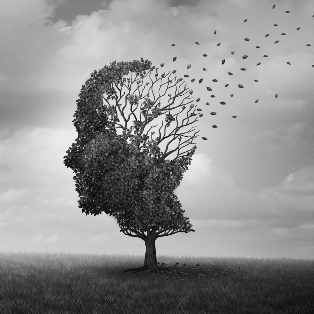 Dr. Matt le Roux | Certified Functional Medicine Practitioner