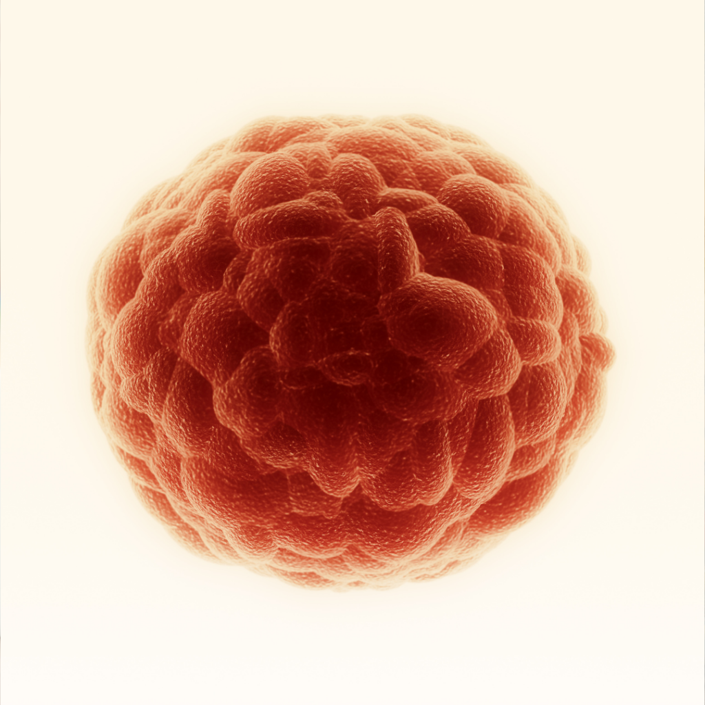 Dr. Matt le Roux | Certified Functional Medicine Practitioner